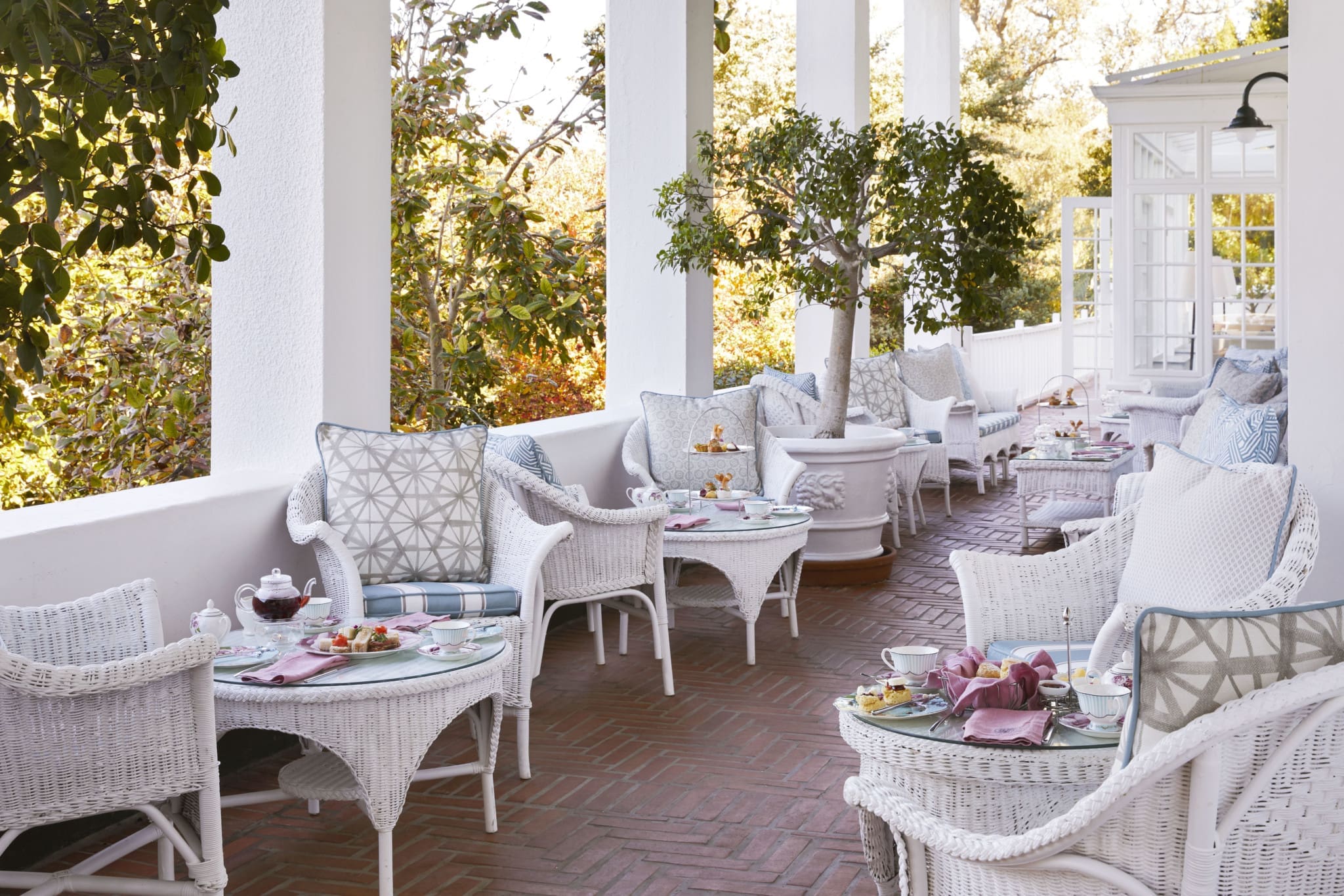 Experience Cellars-Hohenort Glamtrails excursion to Kirstenbosch | Eat ...